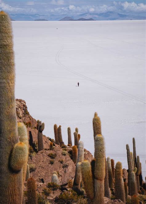 Salar de Uyuni Bolivia Dónde queda cómo llegar y tours