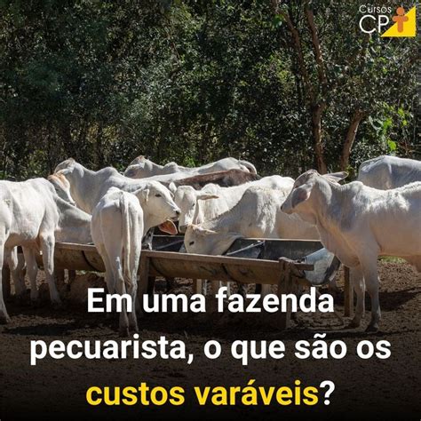 Em uma fazenda pecuarista o que são os custos variáveis Em uma