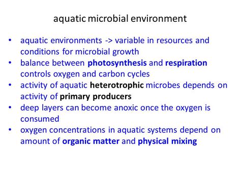 Introduction To Microbial Ecology Microbes World