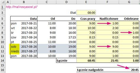 Czas Pracy Malinowy Excel