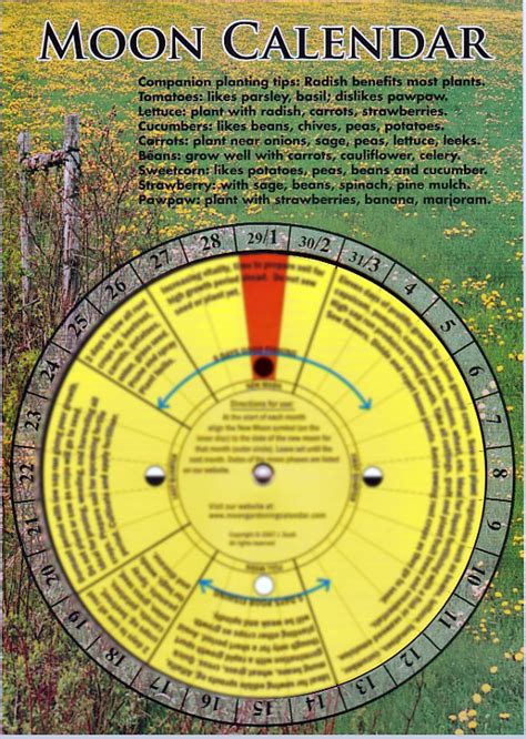 Lunar Phases Gardening By The Moon Calendar View Inside Pages Images