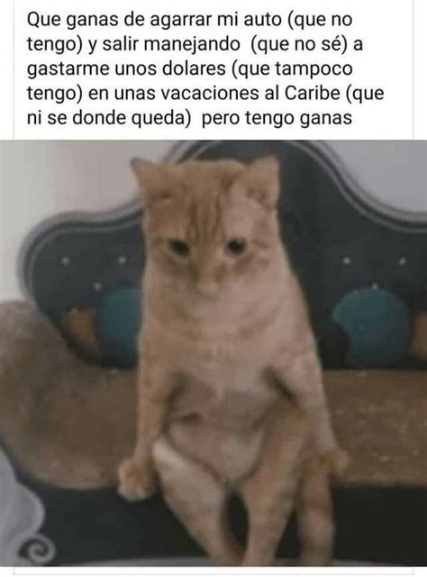 Dopl3r On Twitter Que Ganas De Agarrar Mi Auto Que No Tengo Y Salir