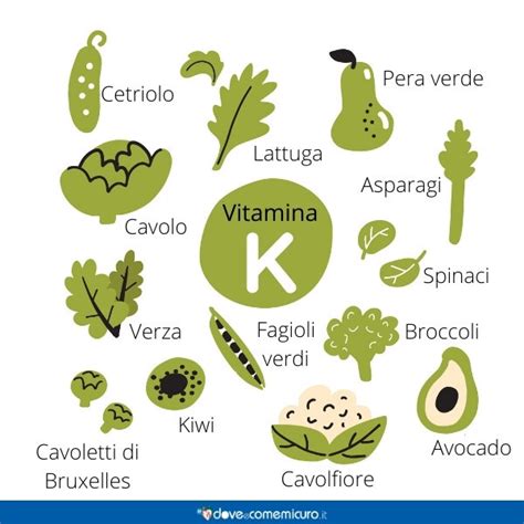 Dove Si Trova La Vitamina K A Cosa Serve Controindicazioni E Alimenti