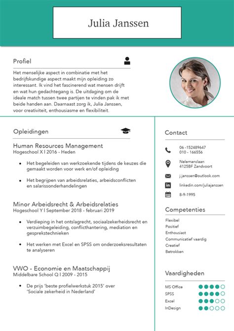 Cv Profiel Voorbeeld Student
