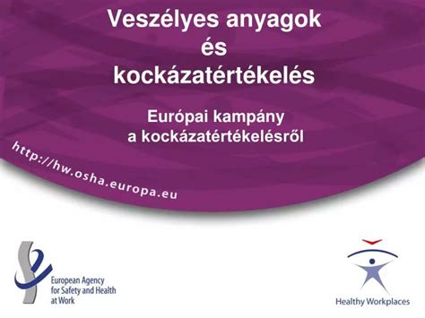 PPT Veszélyes anyagok és kockázatértékelés PowerPoint Presentation