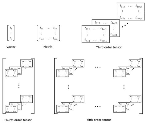 shapes of tensors for the first five orders download scientific diagram