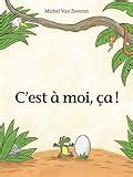 Amazon Fr C Est Pas Grave Van Zeveren Livres