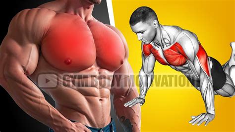 Most Effective Chest Workout At Home Bodyweight Chest Workout YouTube