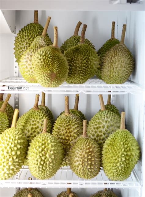 Isaactan Net Musang King Durian Black Thorn Feast Durian King TTDI