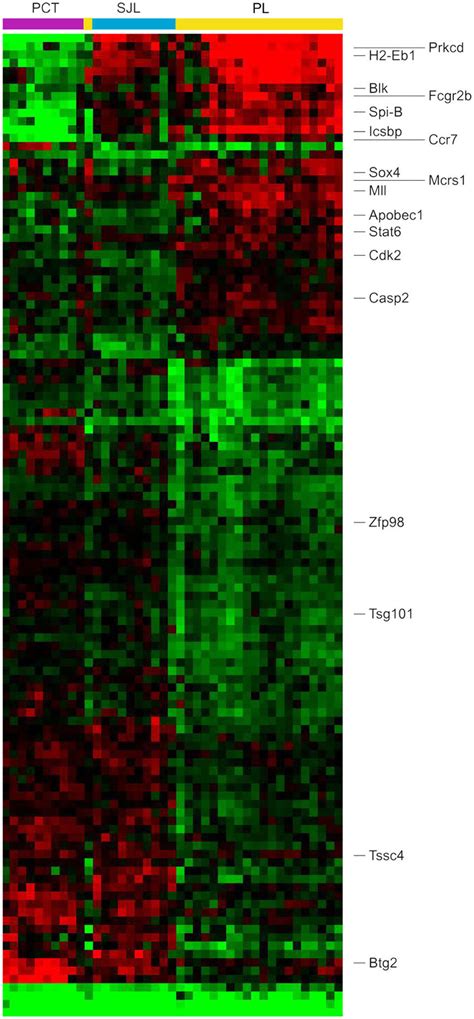 Hierarchical Clustering Of Gene Expression Data For Genes That