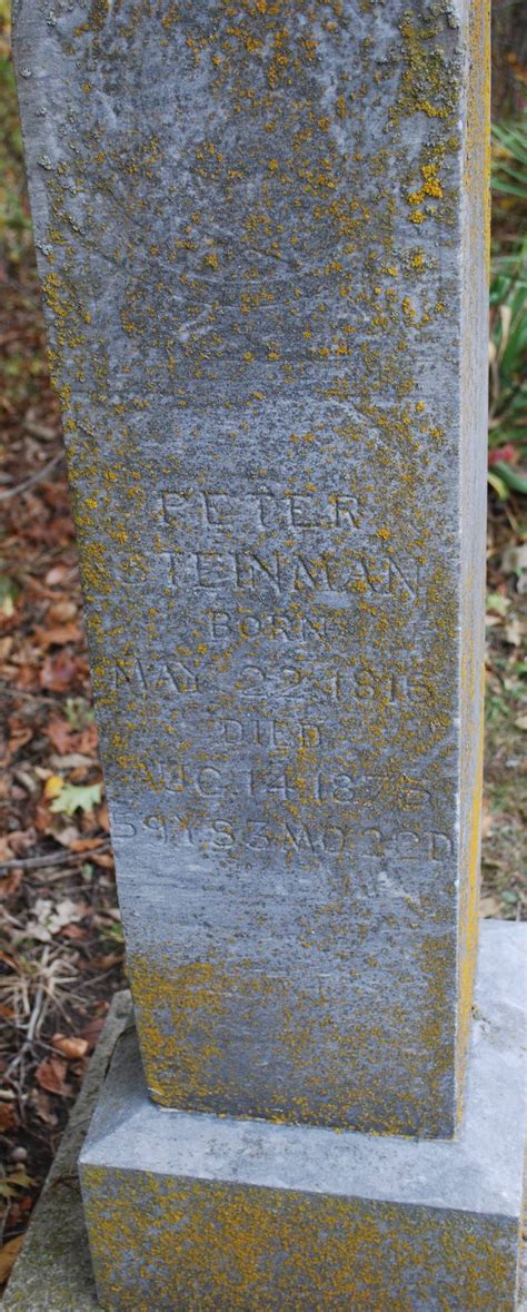 Peter Steinman 1816 1875 Find A Grave Memorial