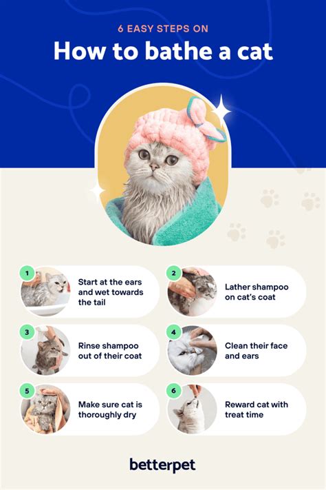 The How To On Bathing A Cat