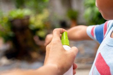 O que você precisa saber sobre o uso de repelentes PetitCor