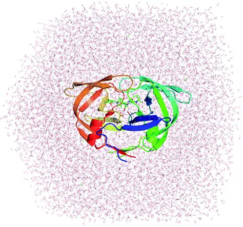 Effective Estimation Of The Inhibitor Affinity Of HIV 1 Protease Via A