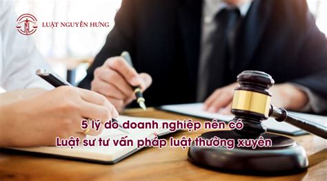 L Do Doanh Nghi P N N C Lu T S T V N Ph P Lu T Th Ng Xuy N