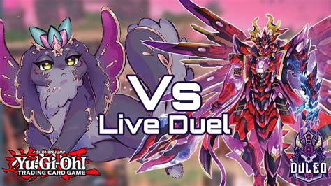 Yu Gi Oh Live Duel Purrely Vs Kashtira Prodigy Games Locals