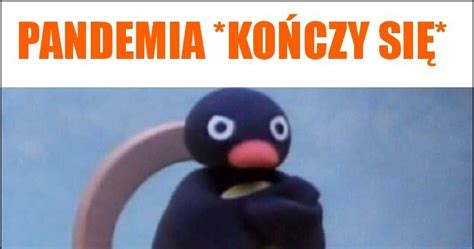 Pandemia kończy się memy gify i śmieszne obrazki facebook tapety