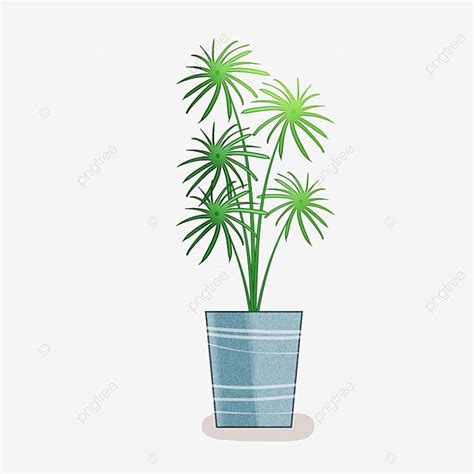 Plant Pots Hd Transparent Potted Plants Plant Green Plants Pot