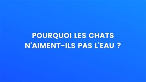 Le Saviez Vous Pourquoi Les Chats N Aiment Ils Pas L Eau