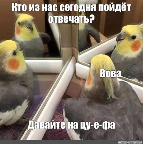 Быстрый и удобный сервис для создания мемов Забавные фото Мемы