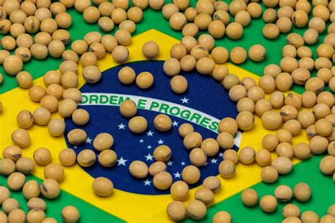 Os 50 Maiores Produtores De Soja Do Mundo