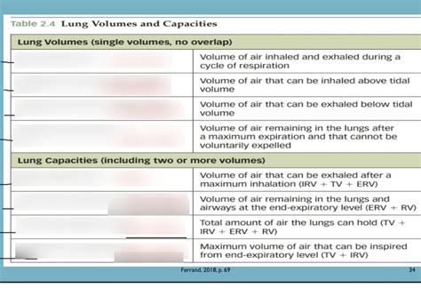 Lung Volumes And Capacities Practice Diagram Diagram Quizlet