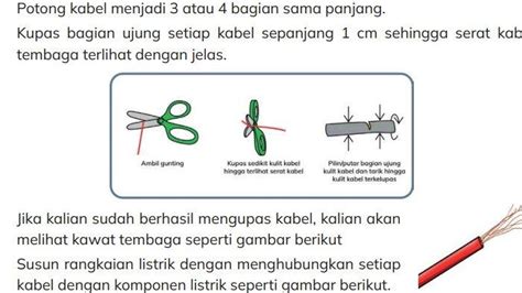 Kunci Jawaban Soal Ilmu Pengetahuan Alam Dan Sosial Kurikulum Merdeka
