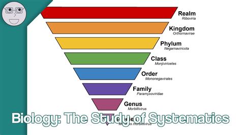 Biology The Study Of Systematics YouTube