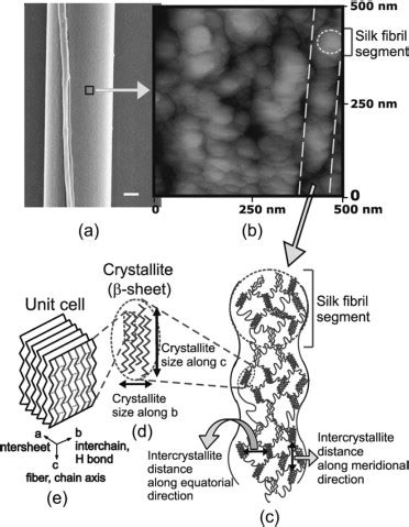 Design Of Superior Spider Silk From Nanostructure To Mechanical
