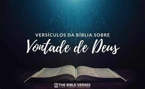 25 Versículos da Bíblia sobre A Vontade de Deus Textos Bíblicos