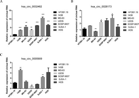 Circular Rna Circ Enhances Osteosarcoma Cell Progression By