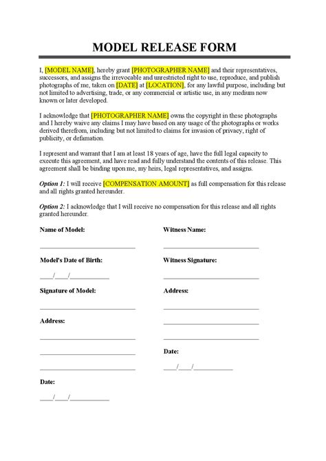 Model Release Form For Minors Fill Out And Sign Printable Pdf The