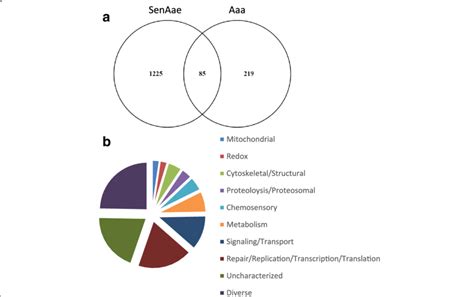 functional categories of genes showing sex specific polymorphisms a download scientific