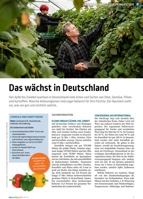 Internationales Jahr F R Obst Und Gem Se