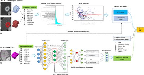 overall workflow of a a rf feature selection and a svm predictor used download scientific