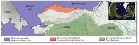 USGS Fact Sheet 20113136 Changing Arctic Ecosystems