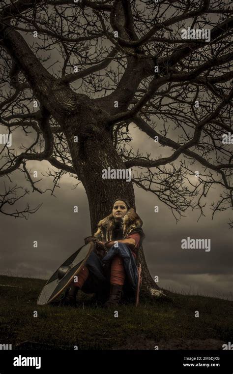 The Female Viking Warrior Stock Photo Alamy