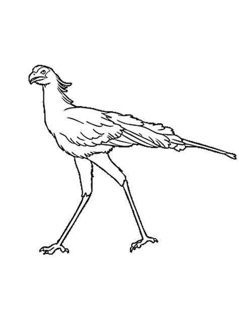 Secretary Bird Coloring Pages Free Printable