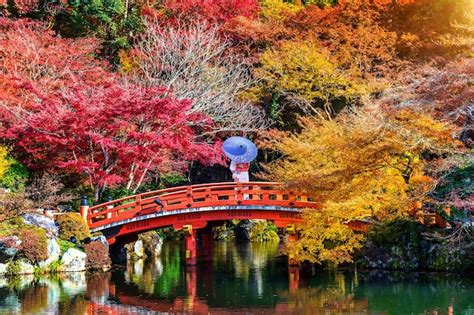 Free Photo Asian Woman Wearing Japanese Traditional Kimono In Autumn
