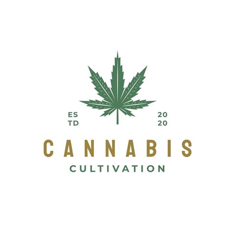 Retro Cannabis Blatt Logo Design Premium Vektor