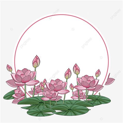 Lotus Flower Watercolor White Transparent Slim Watercolor Lotus Flower