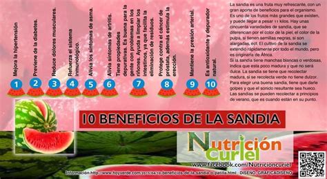Infografía sobre las propiedades de la sandia Propiedades de la