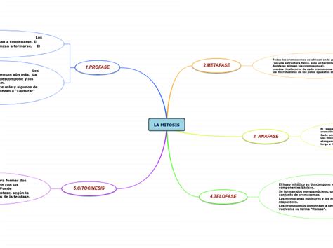 LA MITOSIS Mind Map