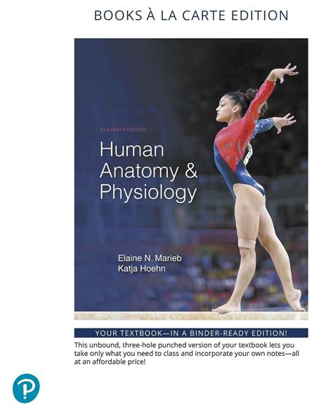 Human Anatomy Physiology Th Edition By Elaine Marieb And Katja
