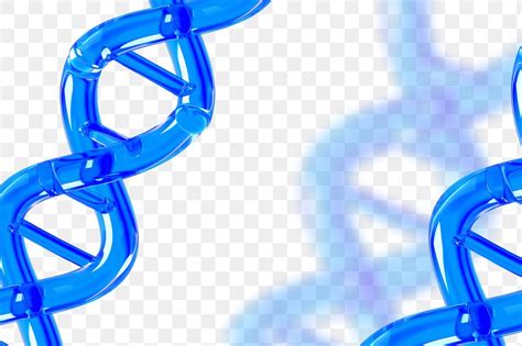 DNA Helix Png 3D Border Premium PNG Rawpixel