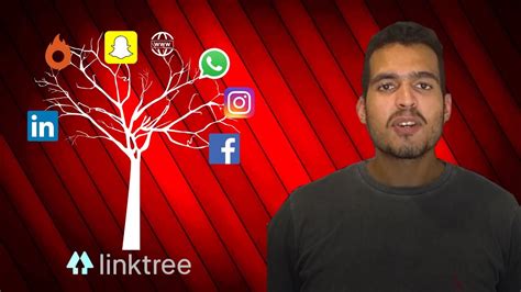 COMO DIVULGAR VÁRIOS LINKS NO INSTAGRAM GRÁTIS Usando o Linktree 2020