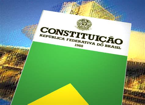 Constitui O Anos Import Ncia Da Carta Magna Na Hist Ria Recente Do