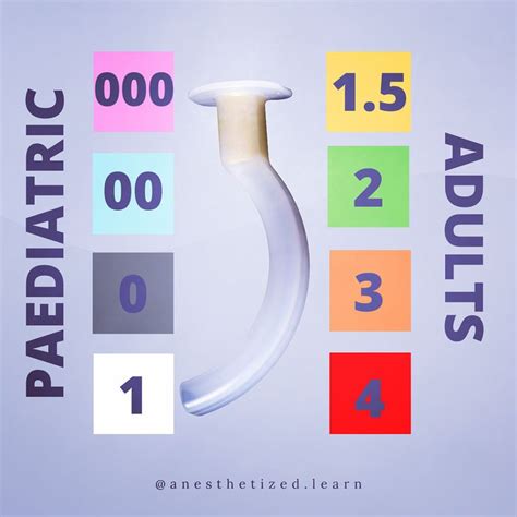 Guide To Oropharyngeal Airway Sizes