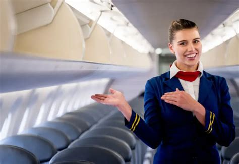 How To Become A Flight Purser Everything You Need To Know