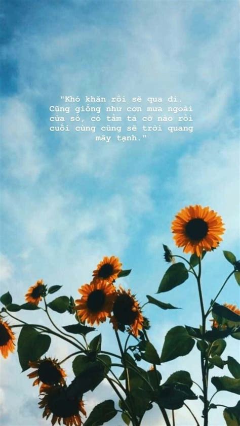 Sunflower Quotes Wallpapers Wallpaper Cave